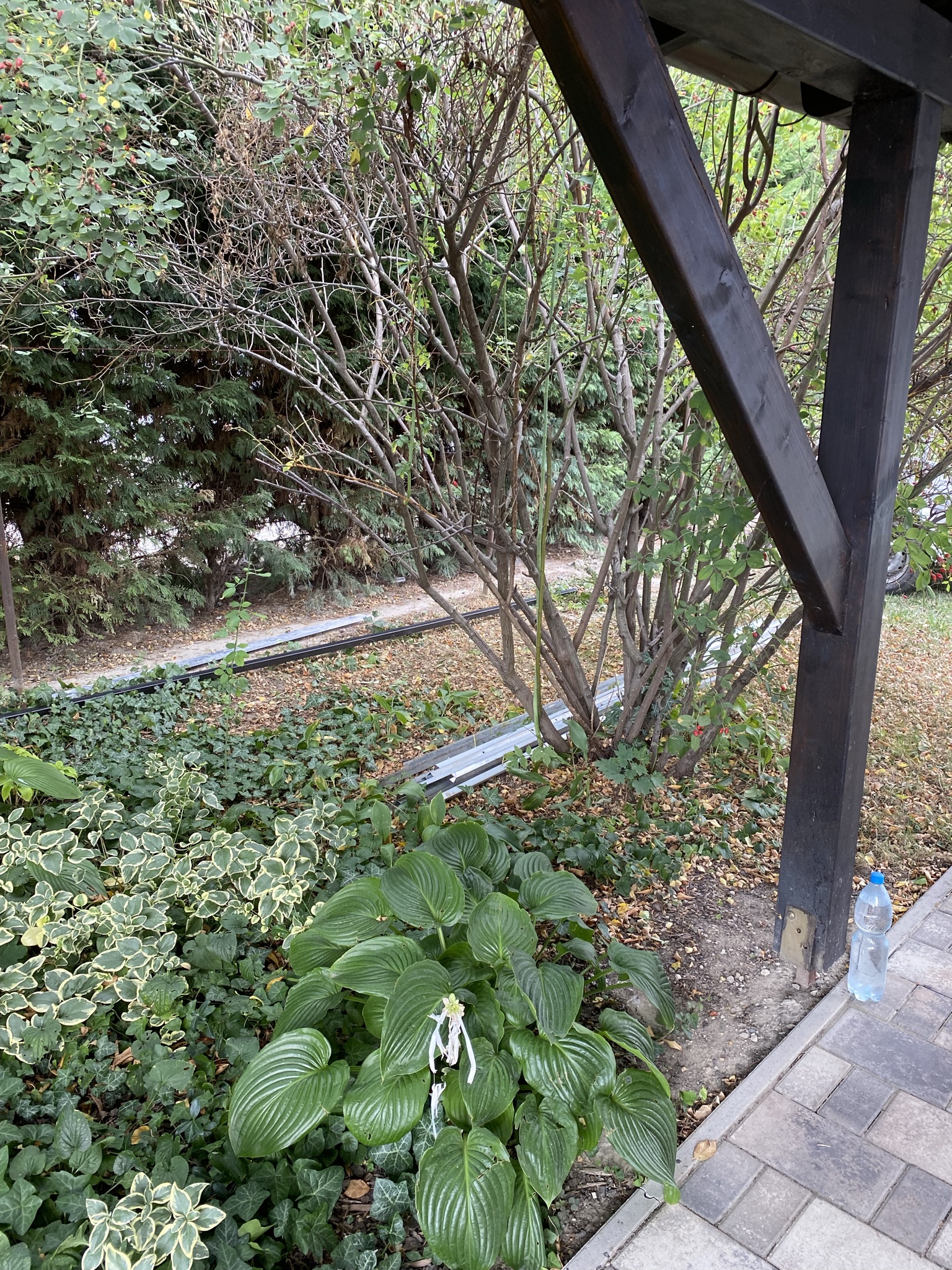 Székesfehérvár kerítés építés T8-ból és betonelemből